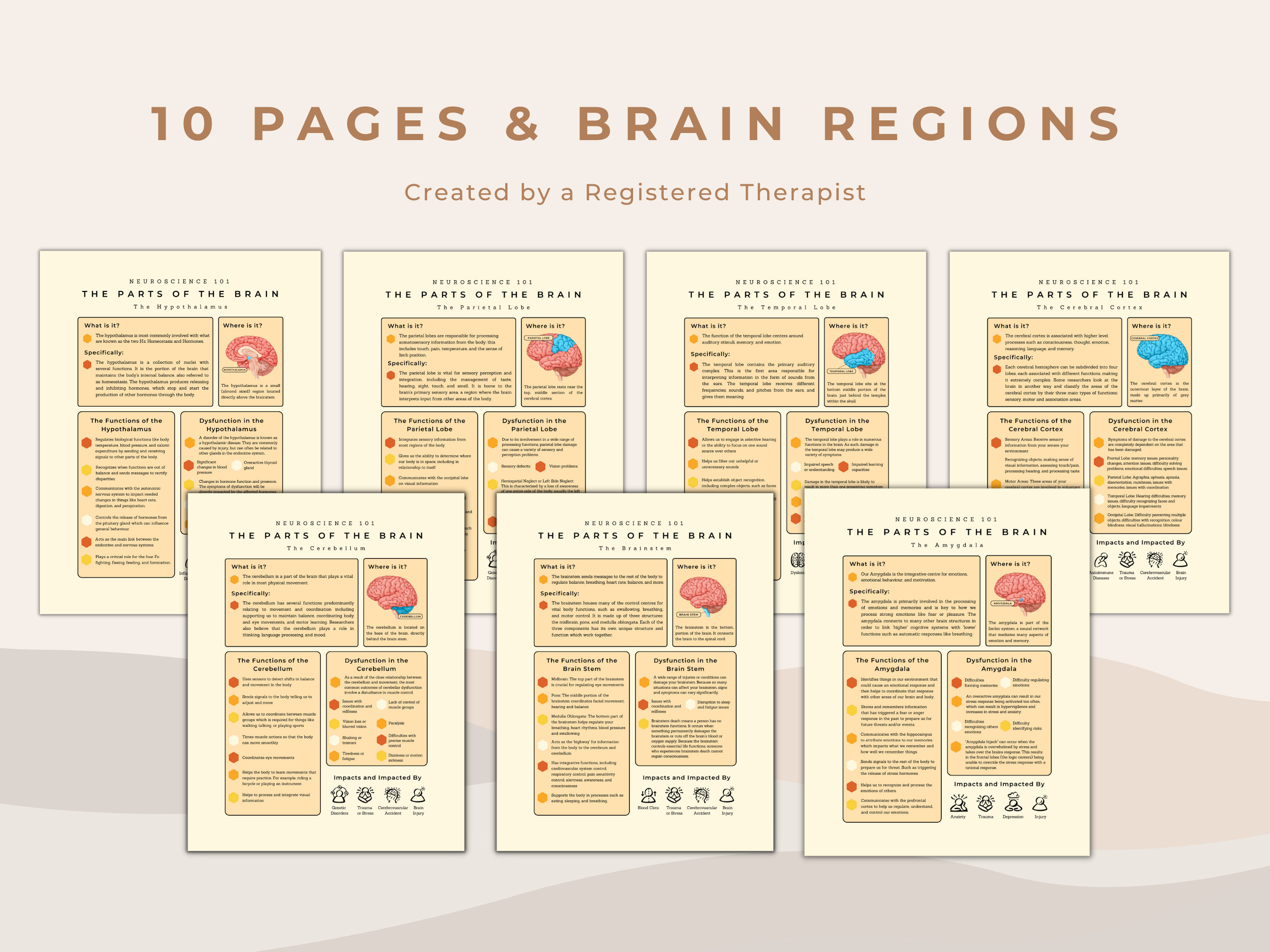 The Brain Regions and Their Function Neuroscience - Etsy Australia