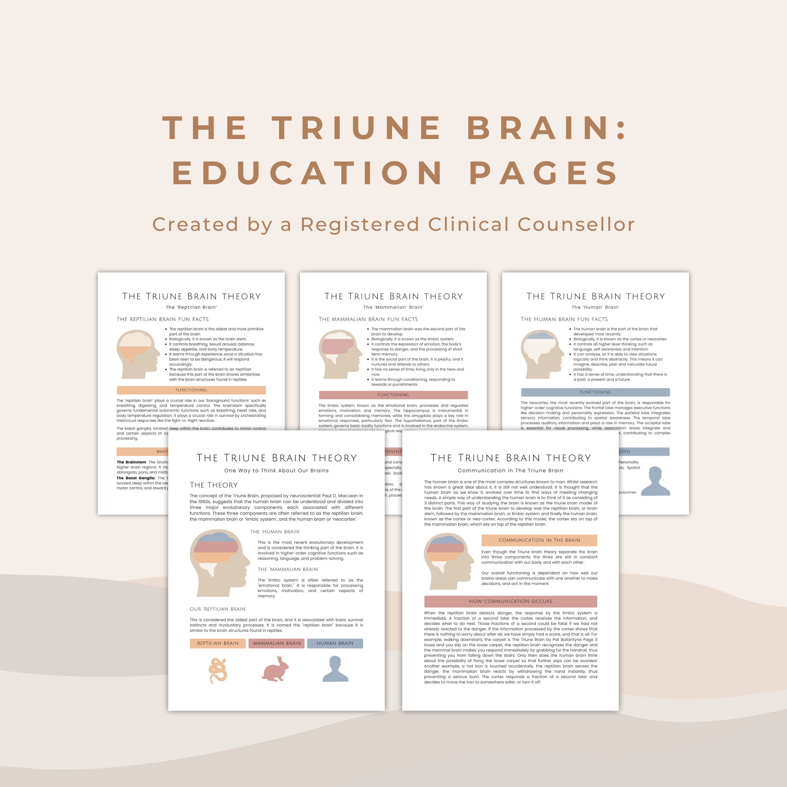 The Triune Brain Model of Brain Development | Neuroscience ...
