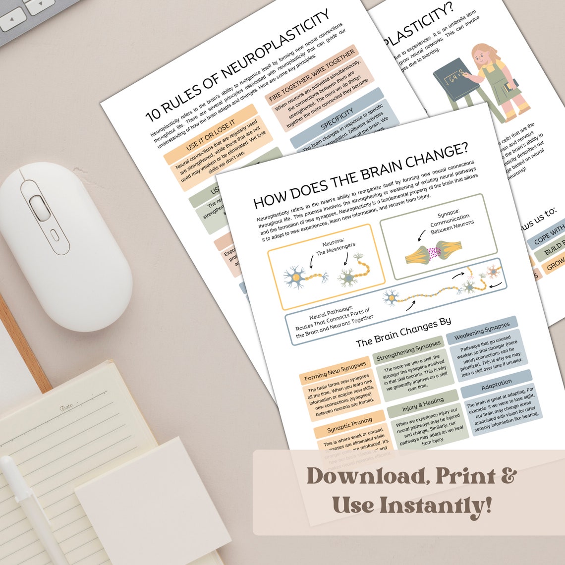 What is Neuroplasticity?: Bundle of Psychoeducation Prints on Brain ...