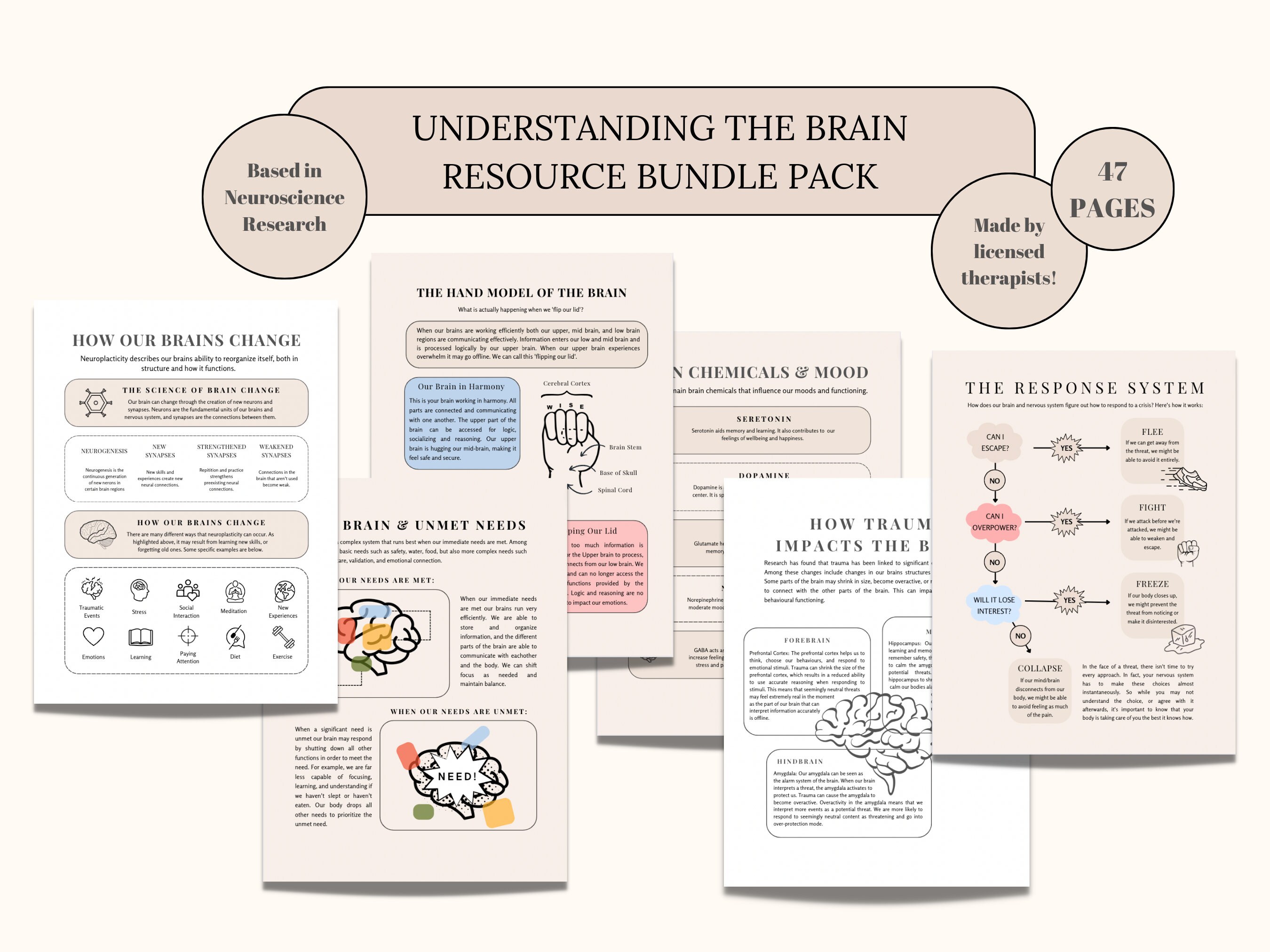 Brain and Neuroscience Therapy and Education Bundle - Etsy UK