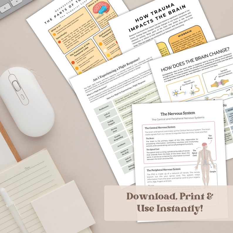 Biological Psychology Bundle: Brain Regions, Neuroscience, Nervous ...