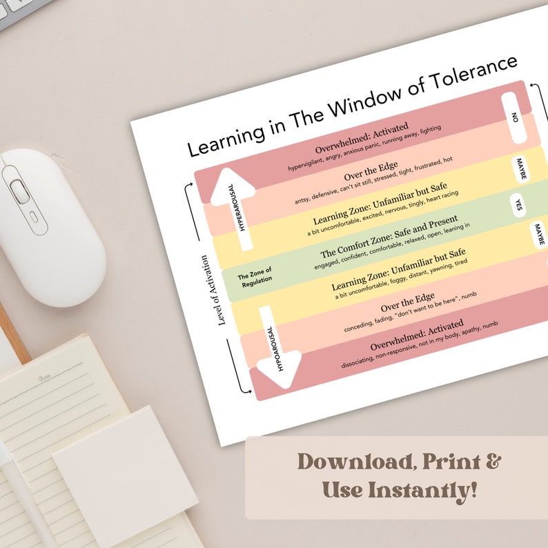 Learning in the Window of Tolerance: Social Emotional Learning and ...