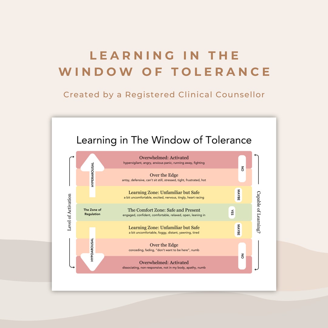 Learning in the Window of Tolerance: Social Emotional Learning and ...