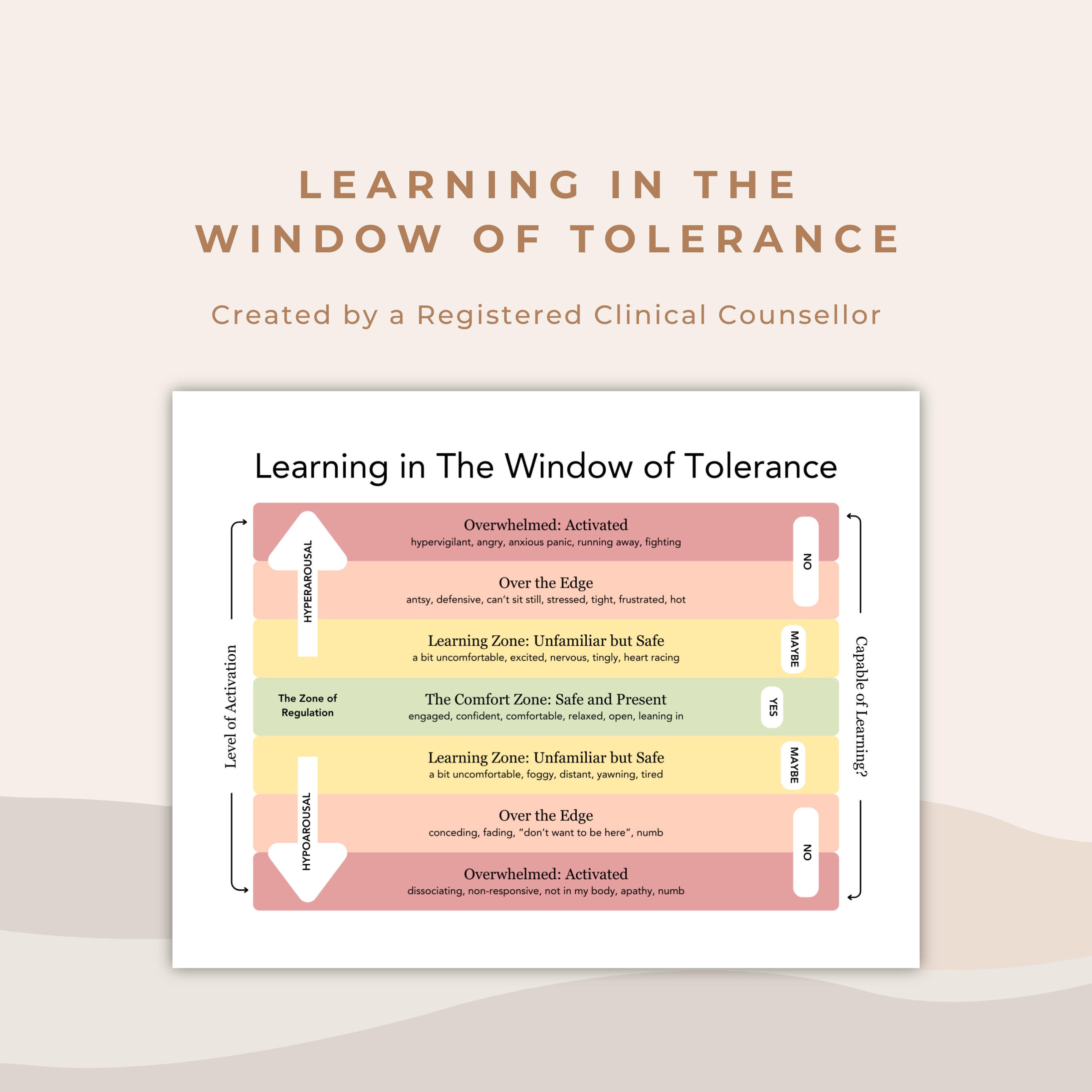 Learning in the Window of Tolerance: Social Emotional Learning and ...