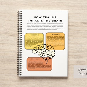 Trauma and Trauma Informed Care Educational Bundle - Etsy Canada