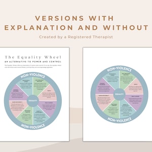 The Power and Control Wheel and the Equality Wheel Tool for Gender ...