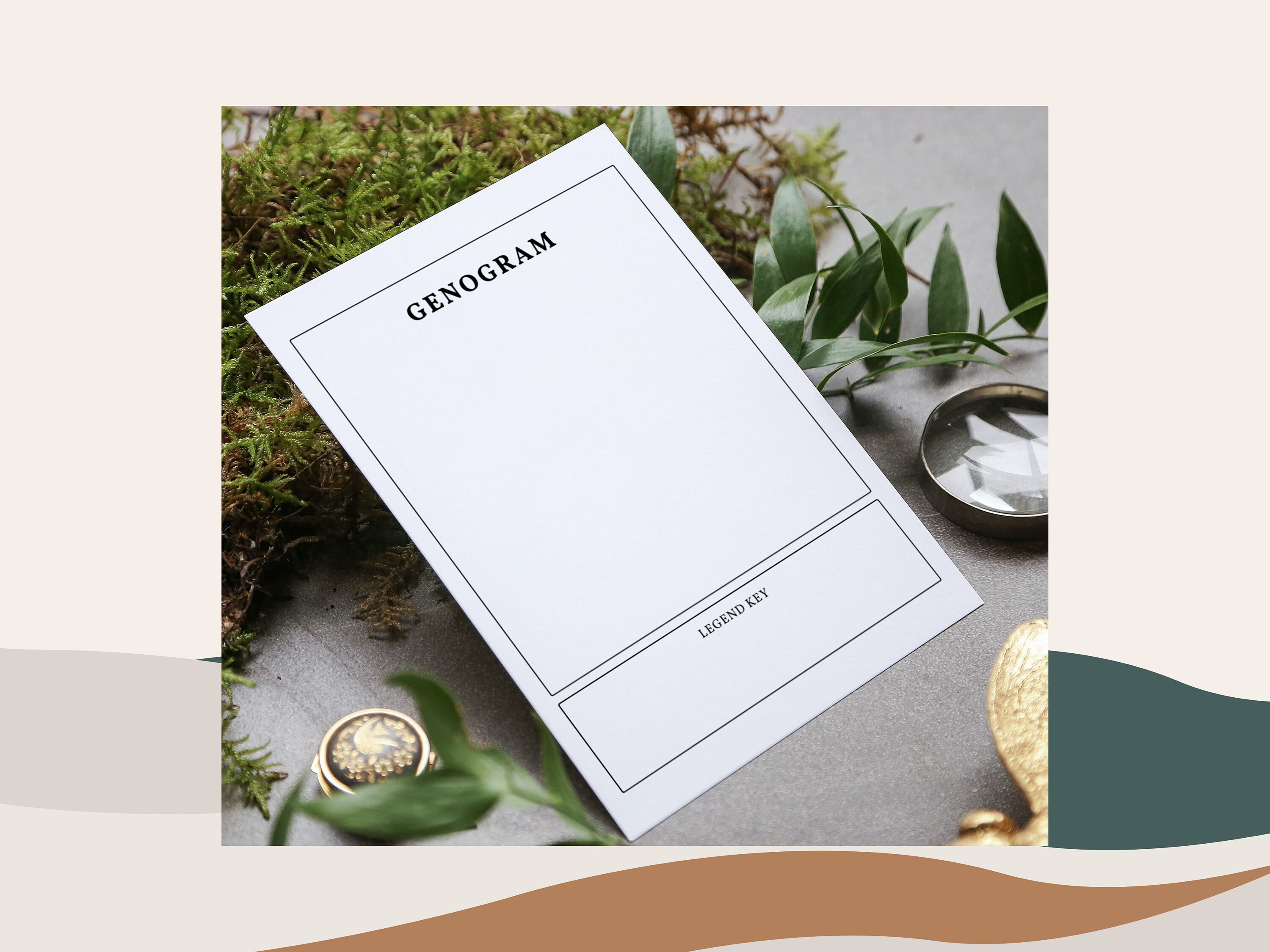 Genogram Family Therapy Toolkit Family Tree Counsellor - Etsy Australia