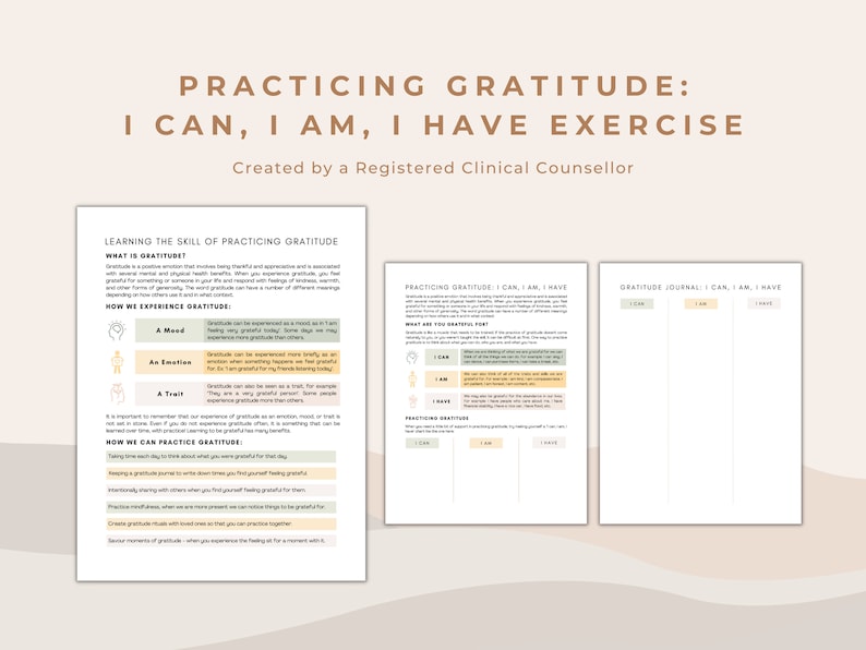 Gratitude Exercise and Journal for Learning the Practice of ...
