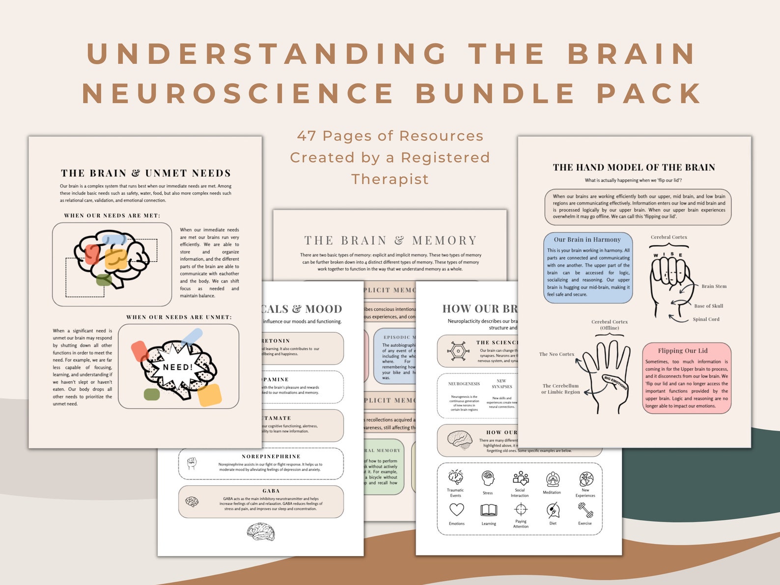 Brain and Neuroscience Therapy and Education Bundle - Etsy Australia