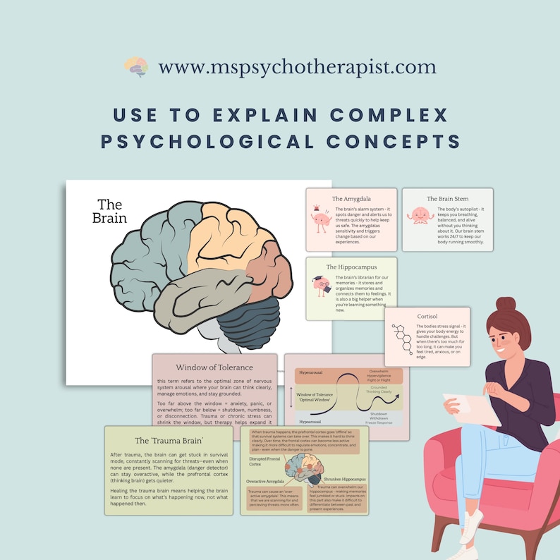 Brain Anatomy Reference Cards: Psychology & Education (printable PDF ...