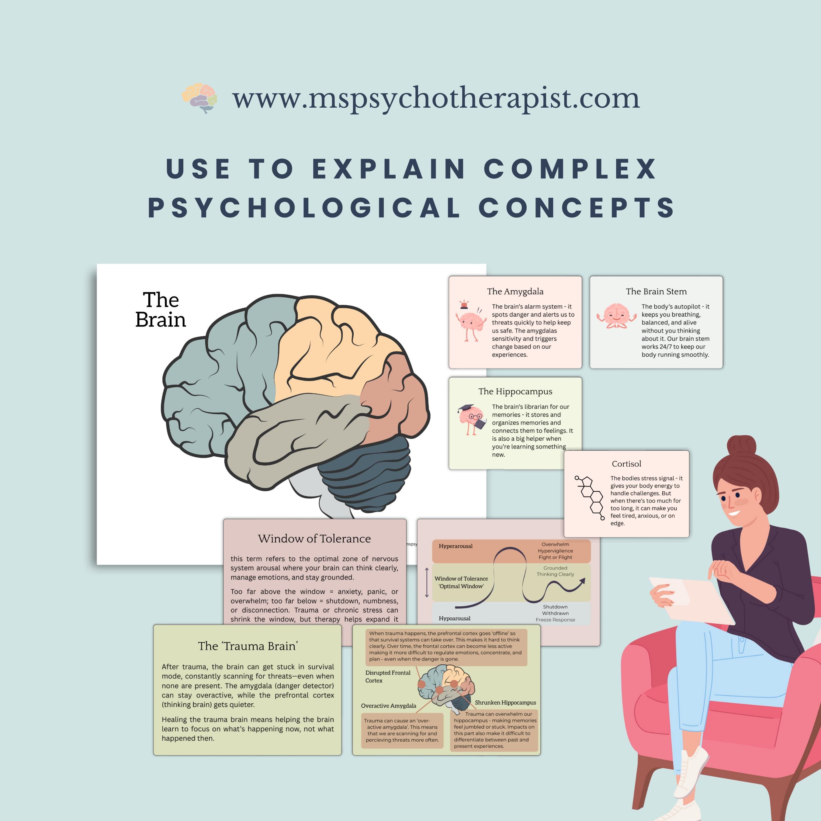 Brain Anatomy Reference Cards: Psychology & Education (printable PDF ...