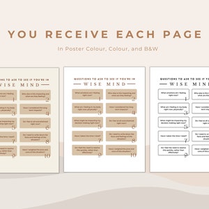 The Wise Mind Dialectical Behavioral Therapy Bundle Education and ...