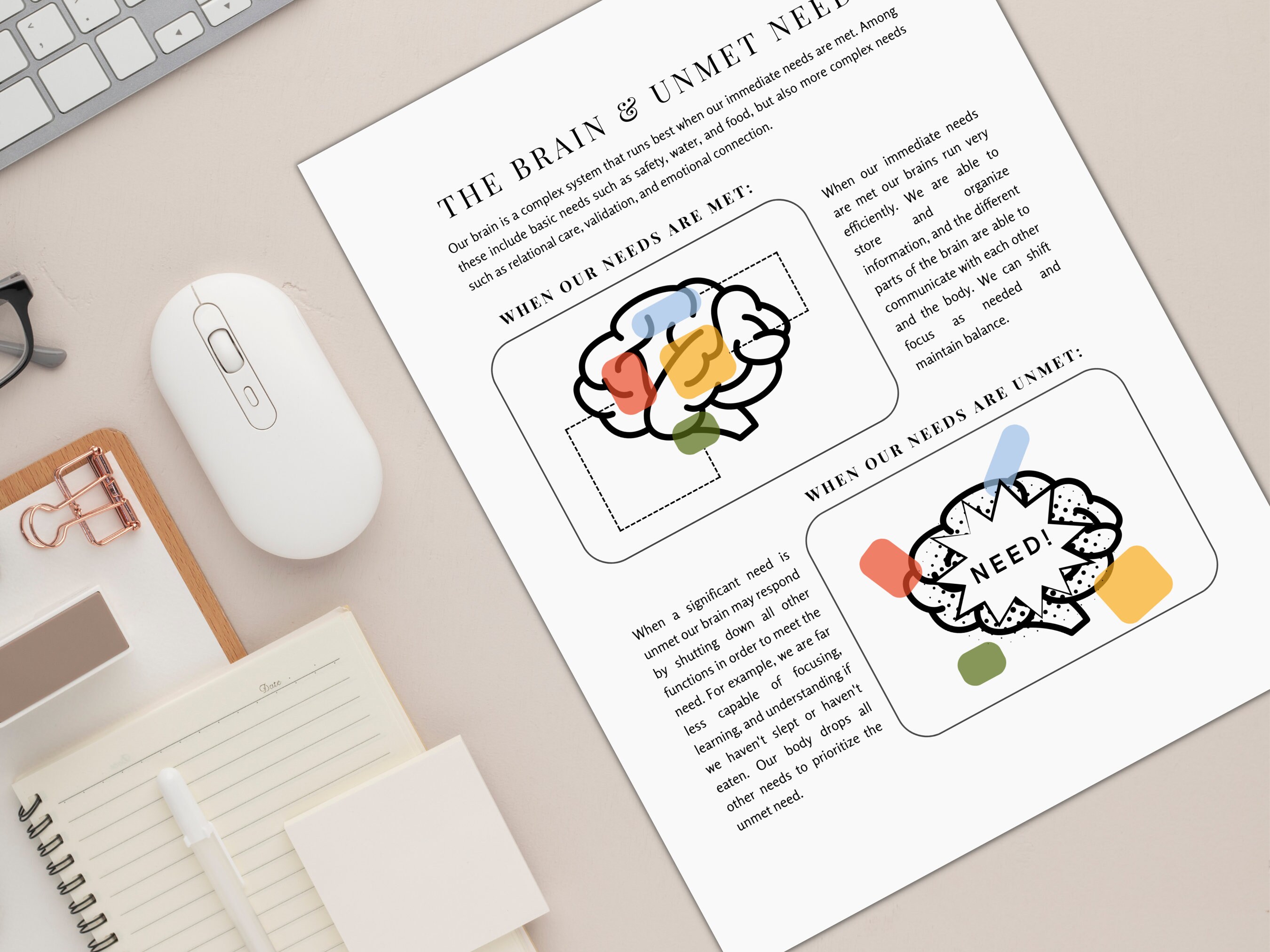 Brain & Neuroscience Psychoeducation Resource Bundle (PDF) - Etsy