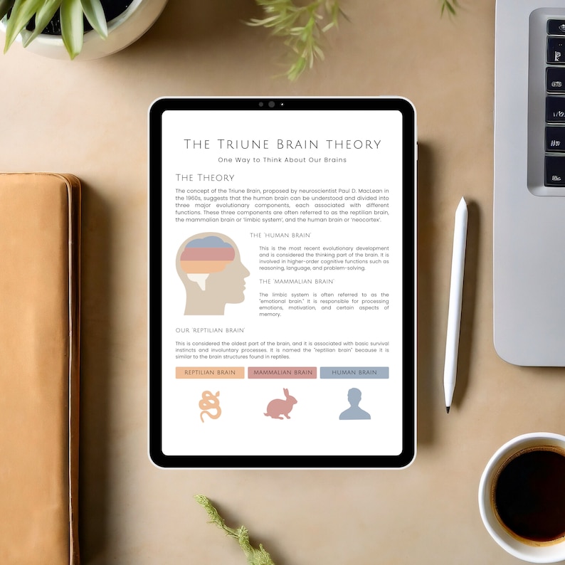 The Triune Brain Model of Brain Development | Neuroscience Psychoeducation Tool for Therapists ...