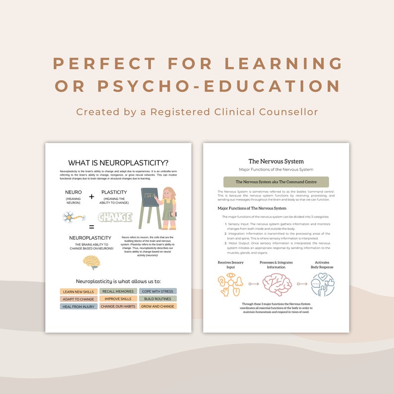 Biological Psychology Bundle: Brain Regions, Neuroscience, Nervous ...