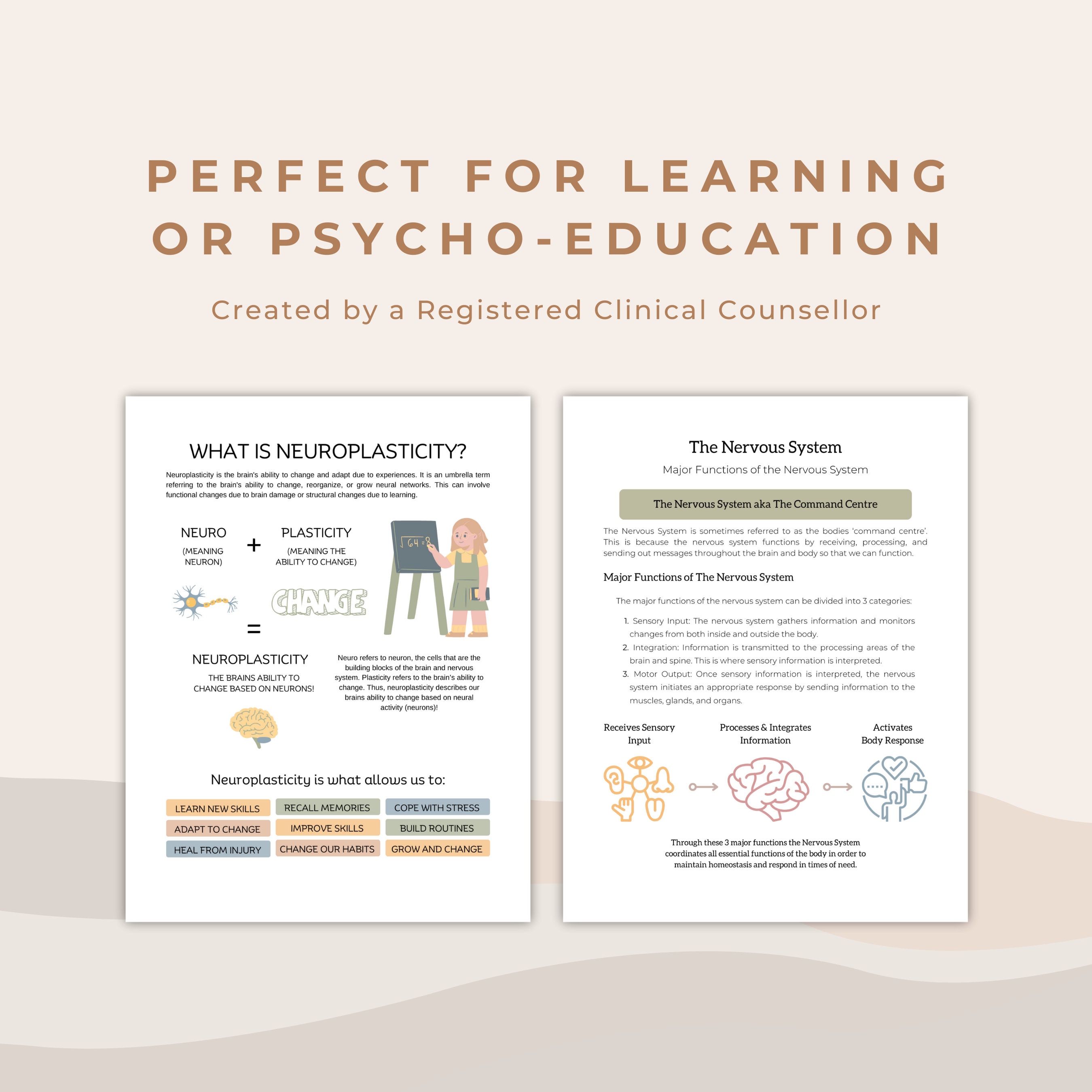 Biological Psychology Bundle: Brain Regions, Neuroscience, Nervous ...