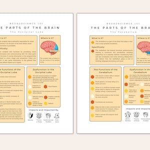 The Brain Regions and Their Function Neuroscience Psychoeducation Tool ...