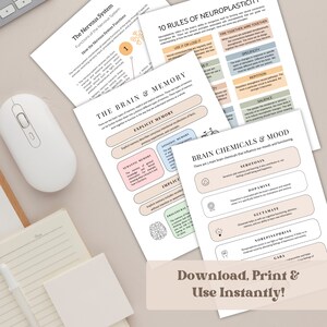 Biological Psychology Bundle: Brain Regions, Neuroscience, Nervous ...