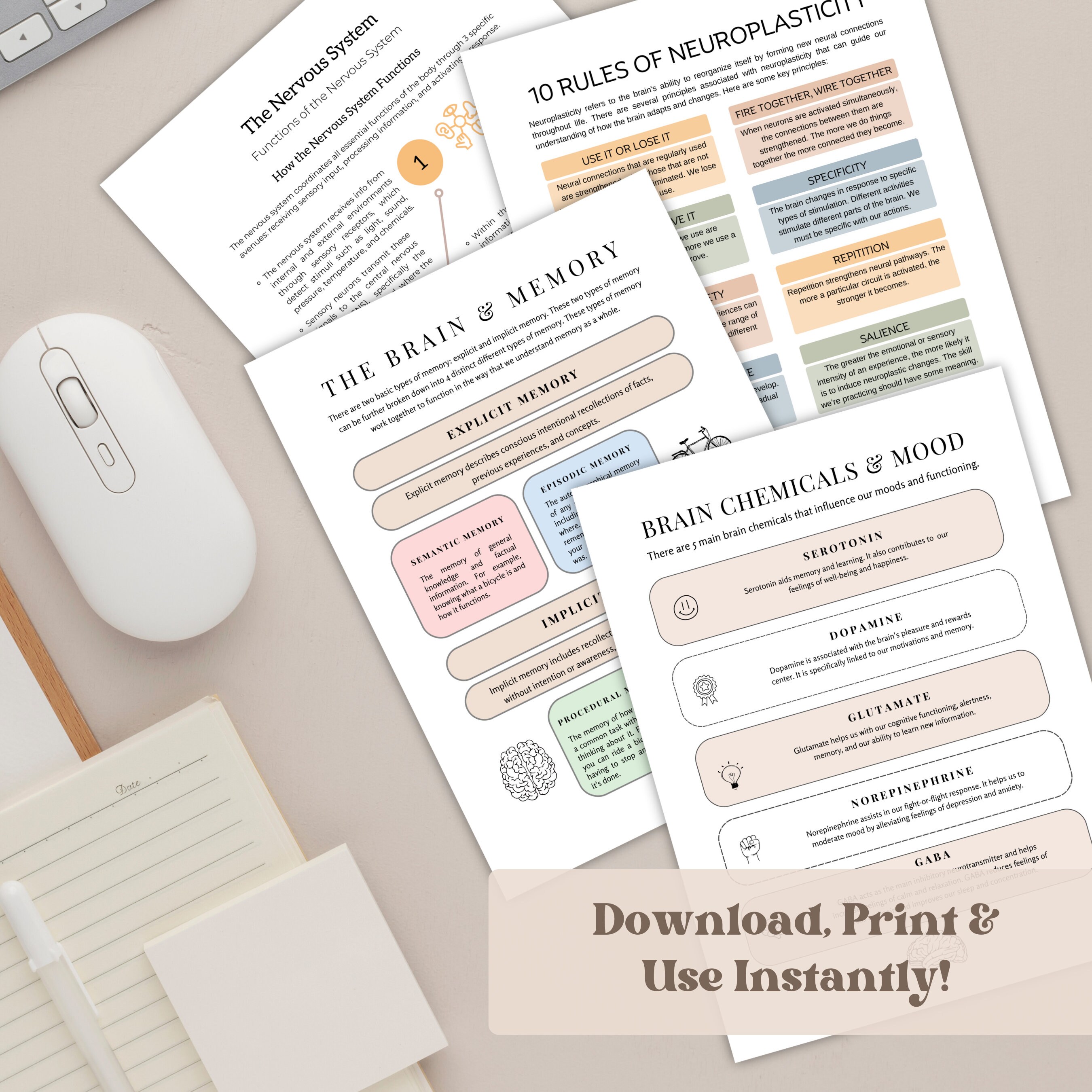 Biological Psychology Bundle: Brain Regions, Neuroscience, Nervous ...