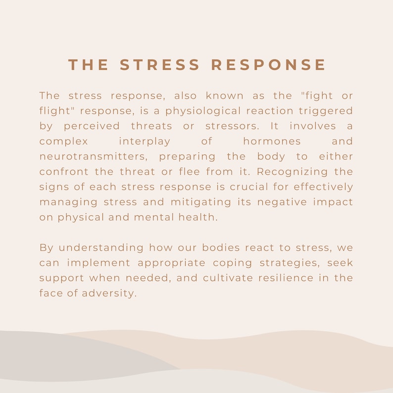 Stress Response Guide: Fight, Flight, Freeze, Fawn - Trauma Therapy ...