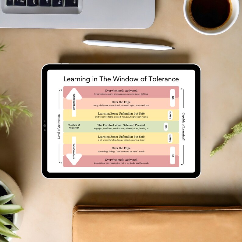 Learning in the Window of Tolerance: Social Emotional Learning and ...
