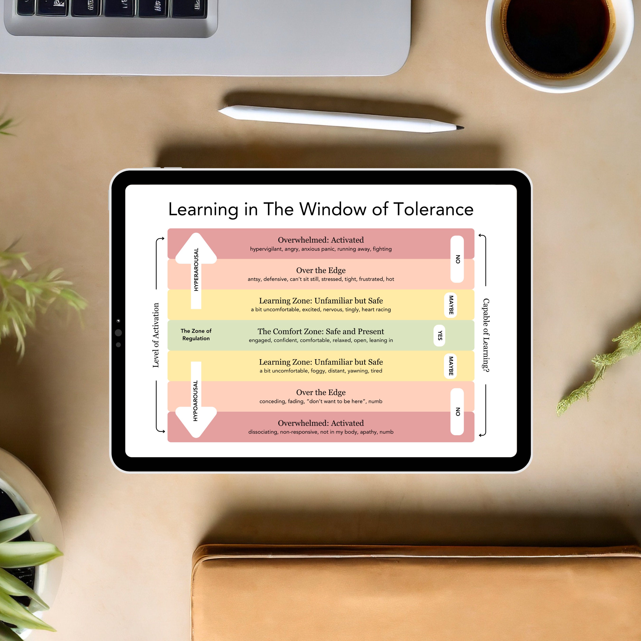 Learning in the Window of Tolerance: Social Emotional Learning and ...