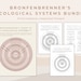 Bronfenbrenner's Ecological Systems Theory Worksheet: Psychoeducation ...