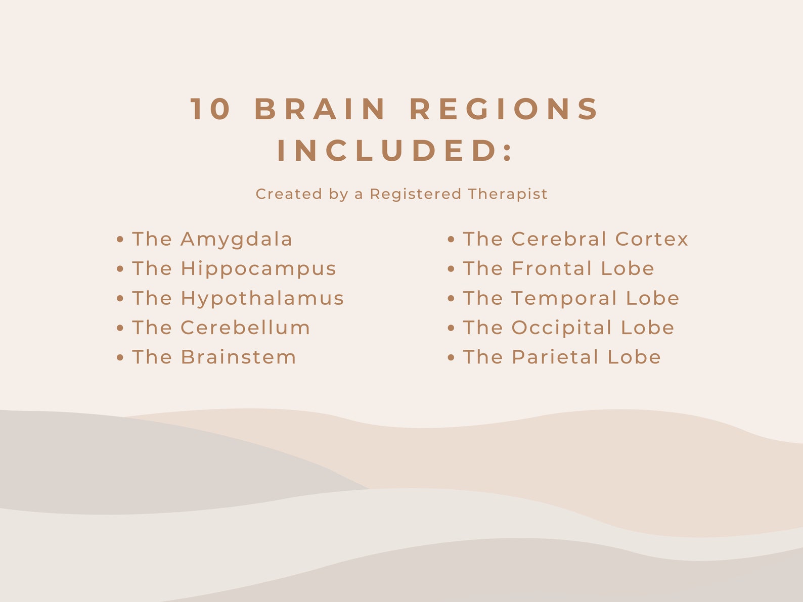The Brain Regions and Their Function Neuroscience Psychoeducation Tool ...