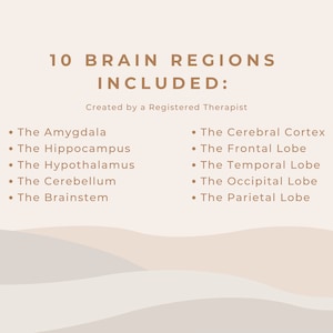 The Brain Regions and Their Function Neuroscience Psychoeducation Tool ...