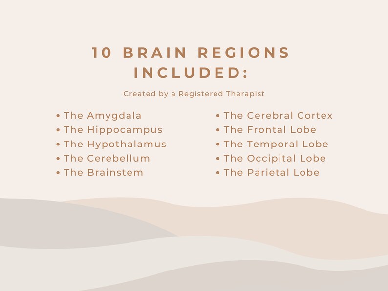 The Brain Regions and Their Function Neuroscience - Etsy