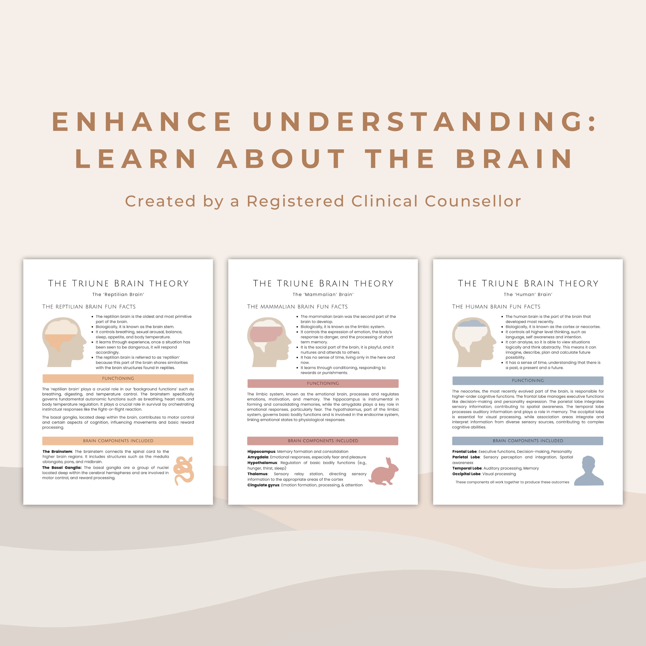 The Triune Brain Model of Brain Development | Neuroscience ...