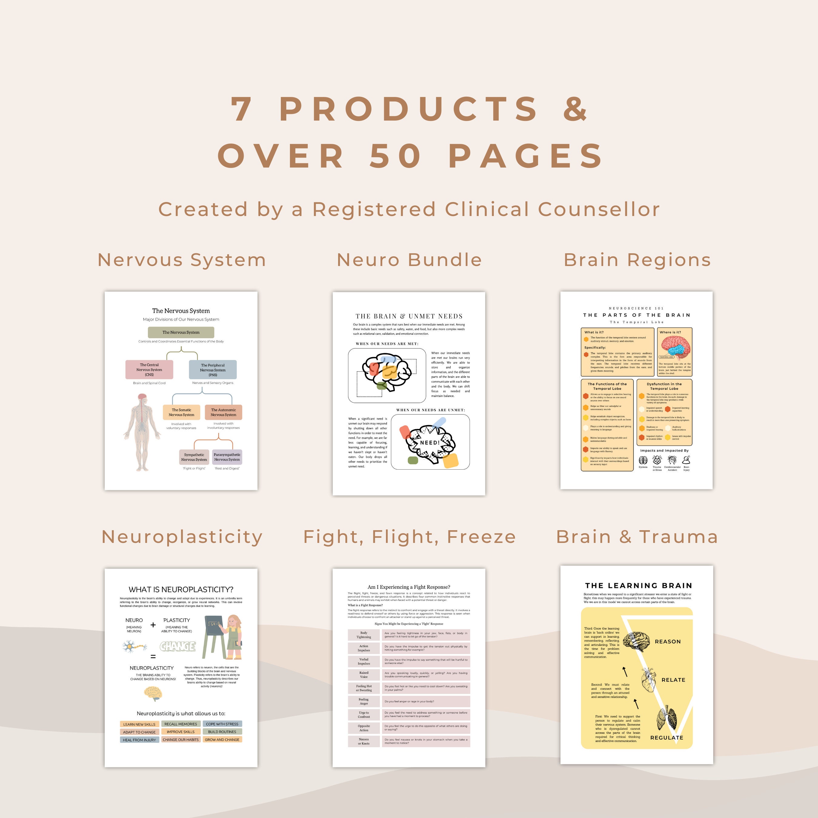 Biological Psychology Bundle: Brain Regions, Neuroscience, Nervous ...