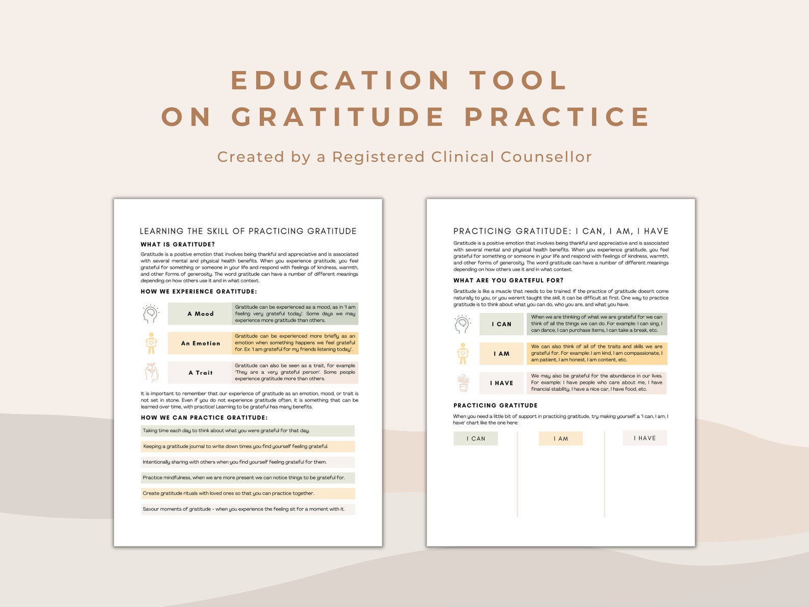 Gratitude Exercise and Journal for Learning the Practice of ...