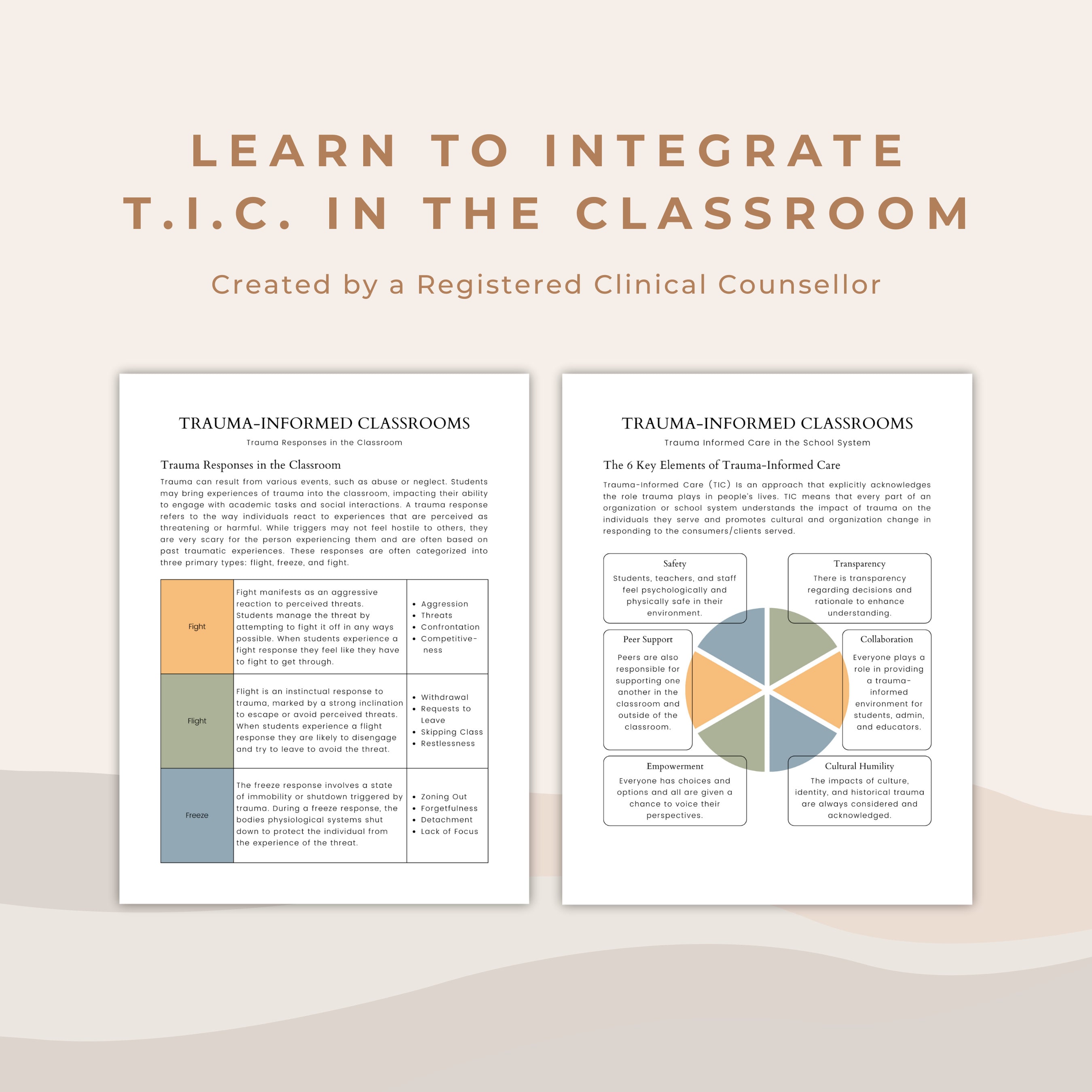 Trauma-informed Classrooms Tool for Supporting Trauma Informed Teachers ...