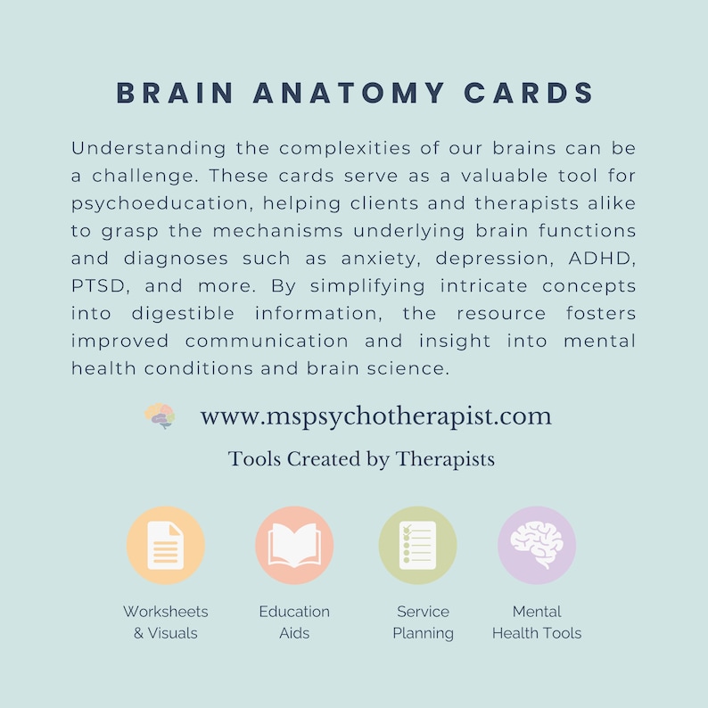 Brain Anatomy Reference Cards: Psychology & Education (printable PDF ...