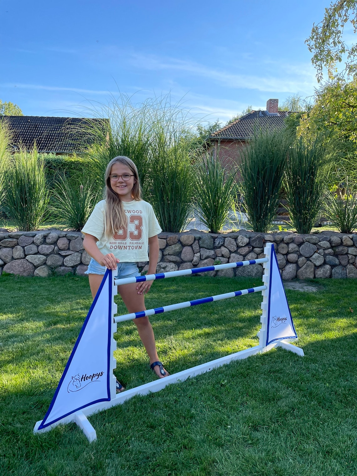 Hobby Horse Jumping Obstacles, Obstacles, Children's Jumps, Hobby ...