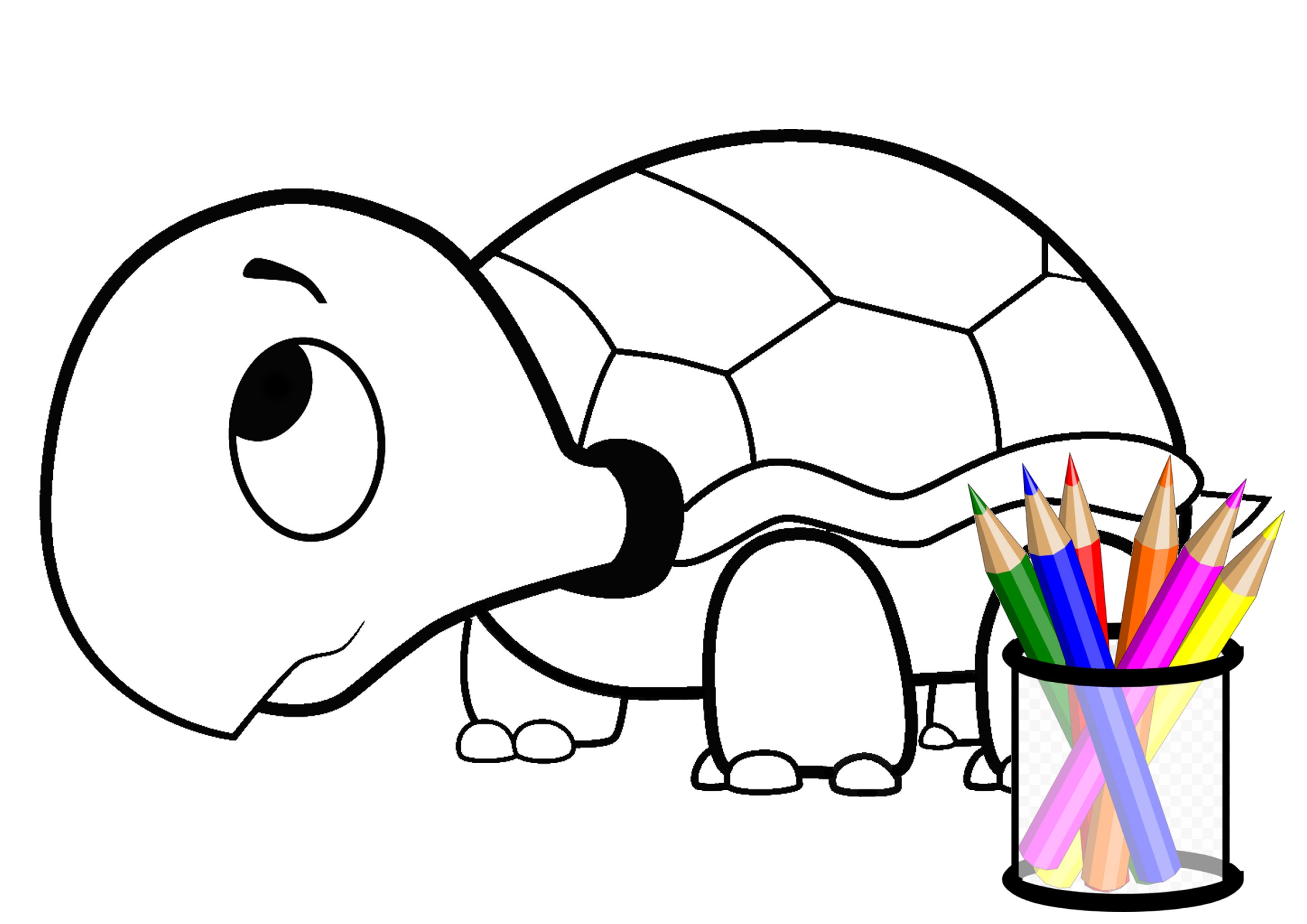 Cute Turtle Coloring Page - Etsy
