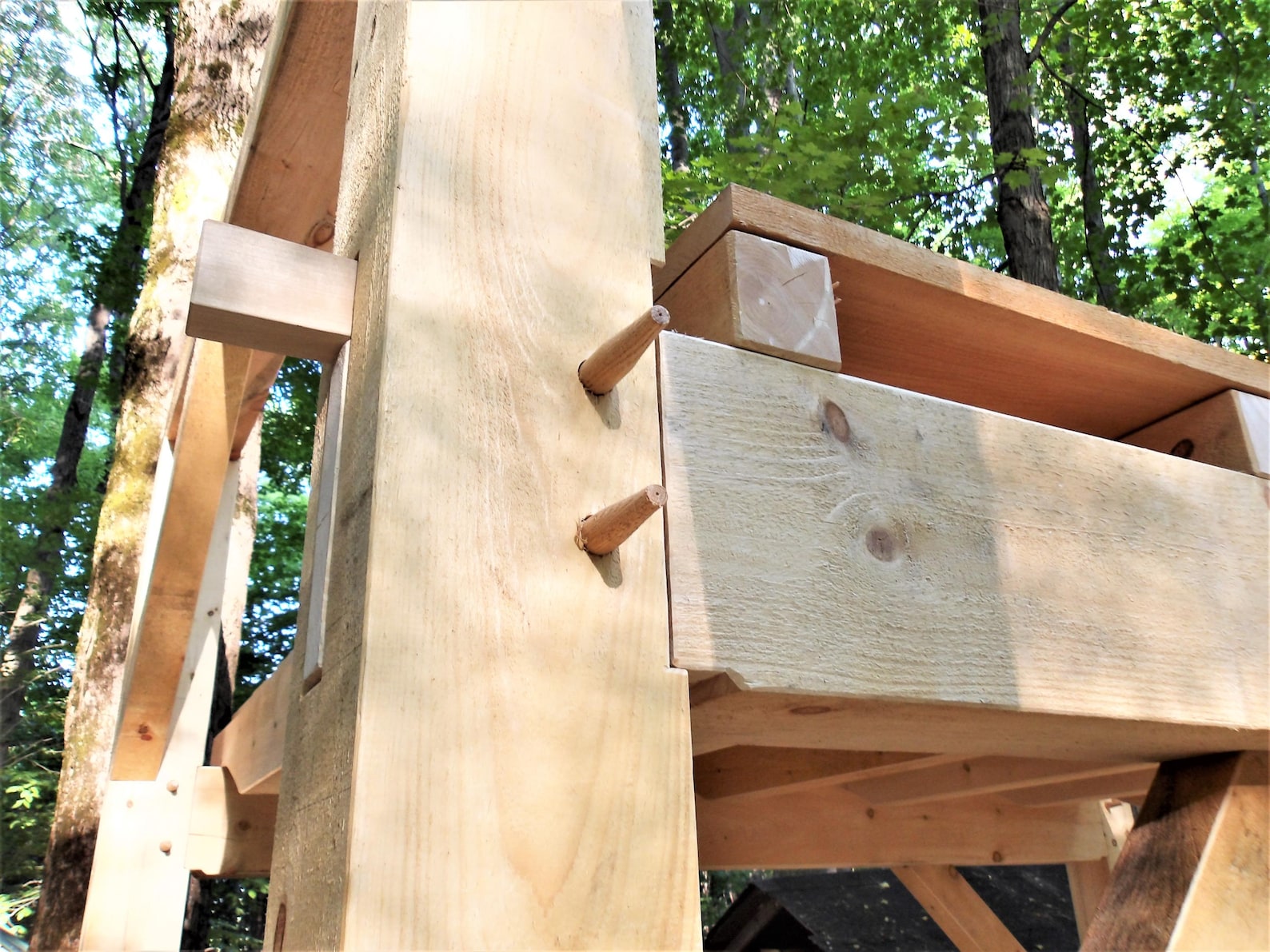 16'x28' Timber Frame Kit- 12x16' Main Frame With 8x16' Side Lean-tos ...