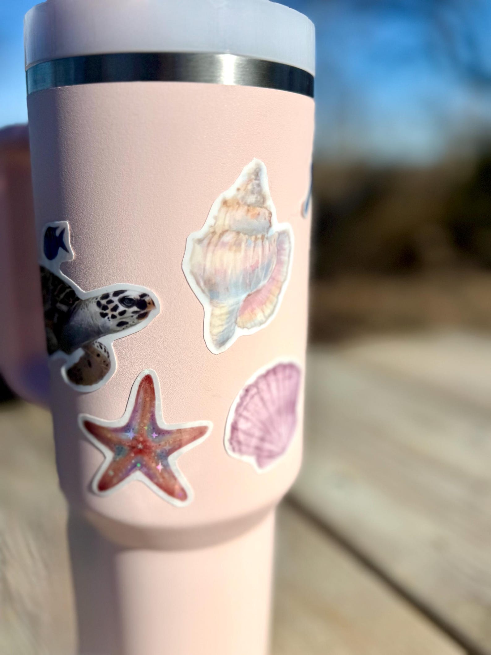 Sea Shell - Glossy Vinyl Sticker | Journal Sticker | Ocean Sticker ...