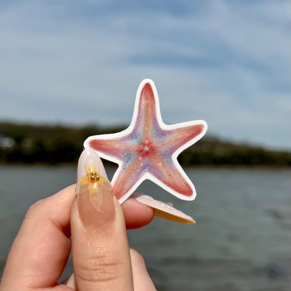Starfish Sticker - Etsy