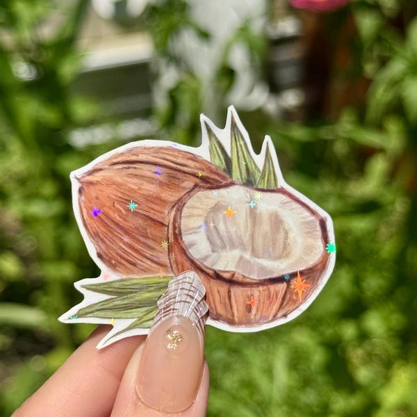 Coconut Laptop - Etsy