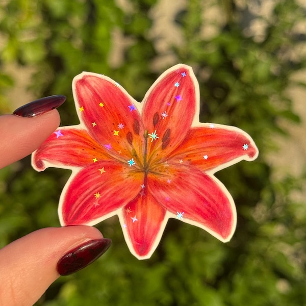 Lily - Etsy