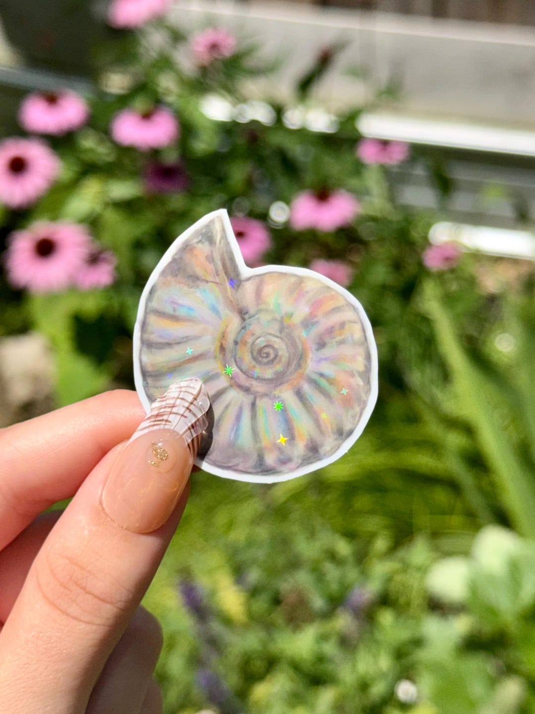 Rainbow Sea Shell - Glossy Vinyl Sticker | Journal Sticker | Ocean ...
