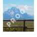 National Park Polaroid Posters set of 3 Grand Teton National Park - Etsy