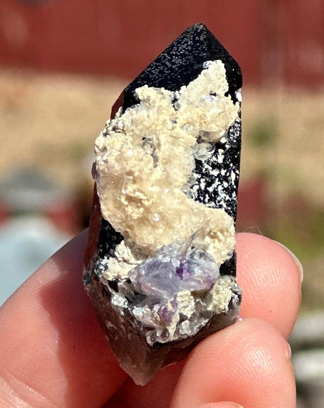 20 Grams Black Quartz W/mini Siderite Rosettes / Blue Fluorite With ...