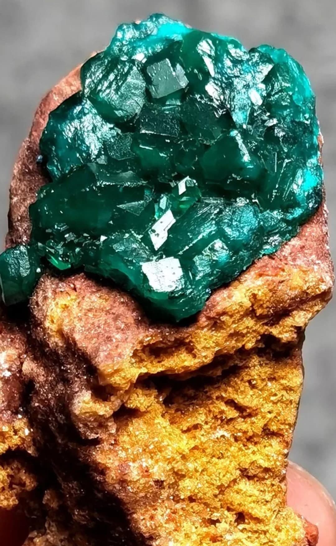 22 Grams Bright Green Sub-adamantine Dioptase Crystals From Congo - Etsy