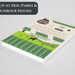 Dog Poop Cleaning Service Premade Dog Poop Scooping Flyer - Etsy