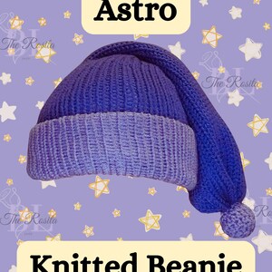 Astro Dandy World Cosplay - Etsy