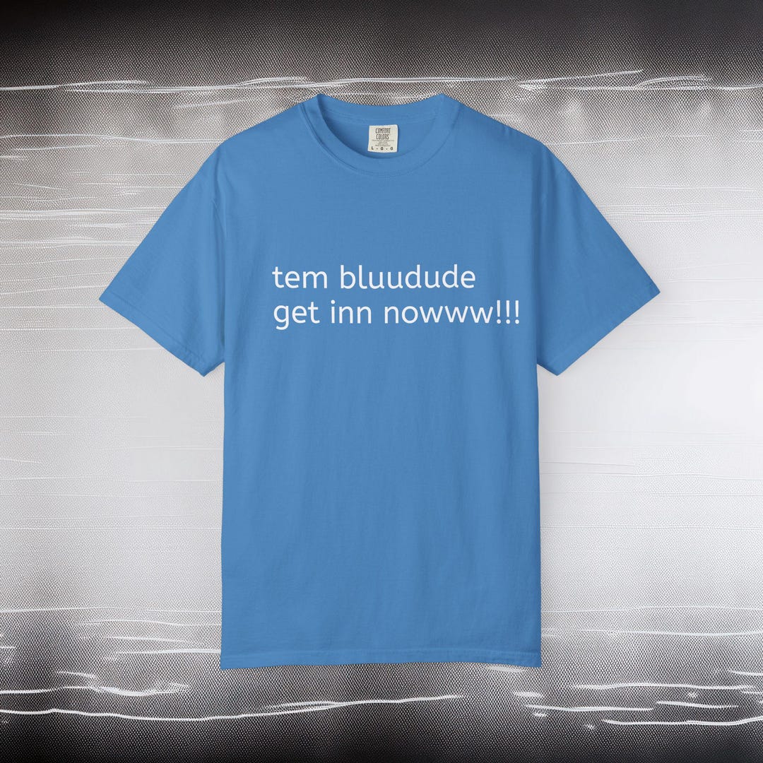 Tem Bluudude, Adult Unisex Garment-dyed T-shirt - R Team Game Cosplay Shirt, Gamer Tee, Cosplay ...