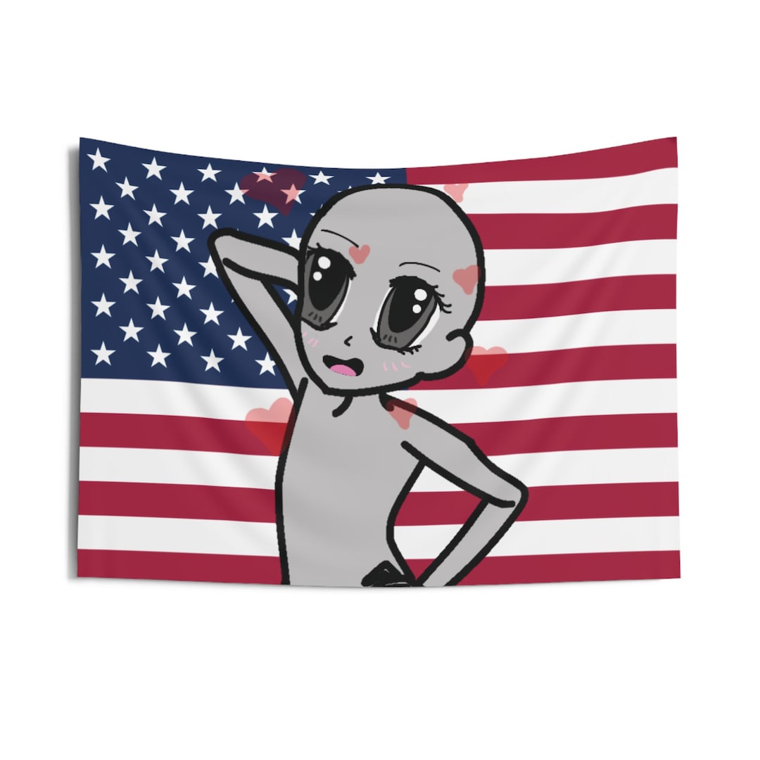 Y/N ,american Flag ,meme, Indoor Wall Tapestries, Patriotic Home Decor ...